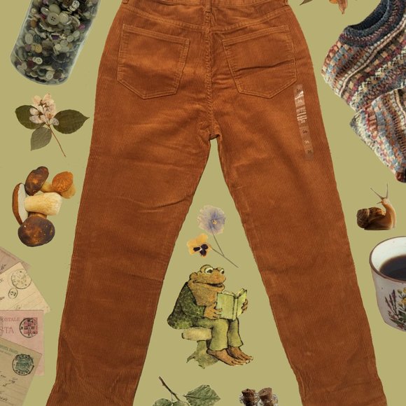 PacSun | Pants & Jumpsuits | Pacsun Spice Corduroy Mom Jeans Autumn ...